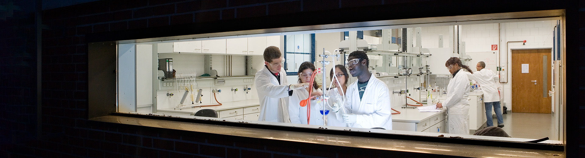 School of Science | Constructor University